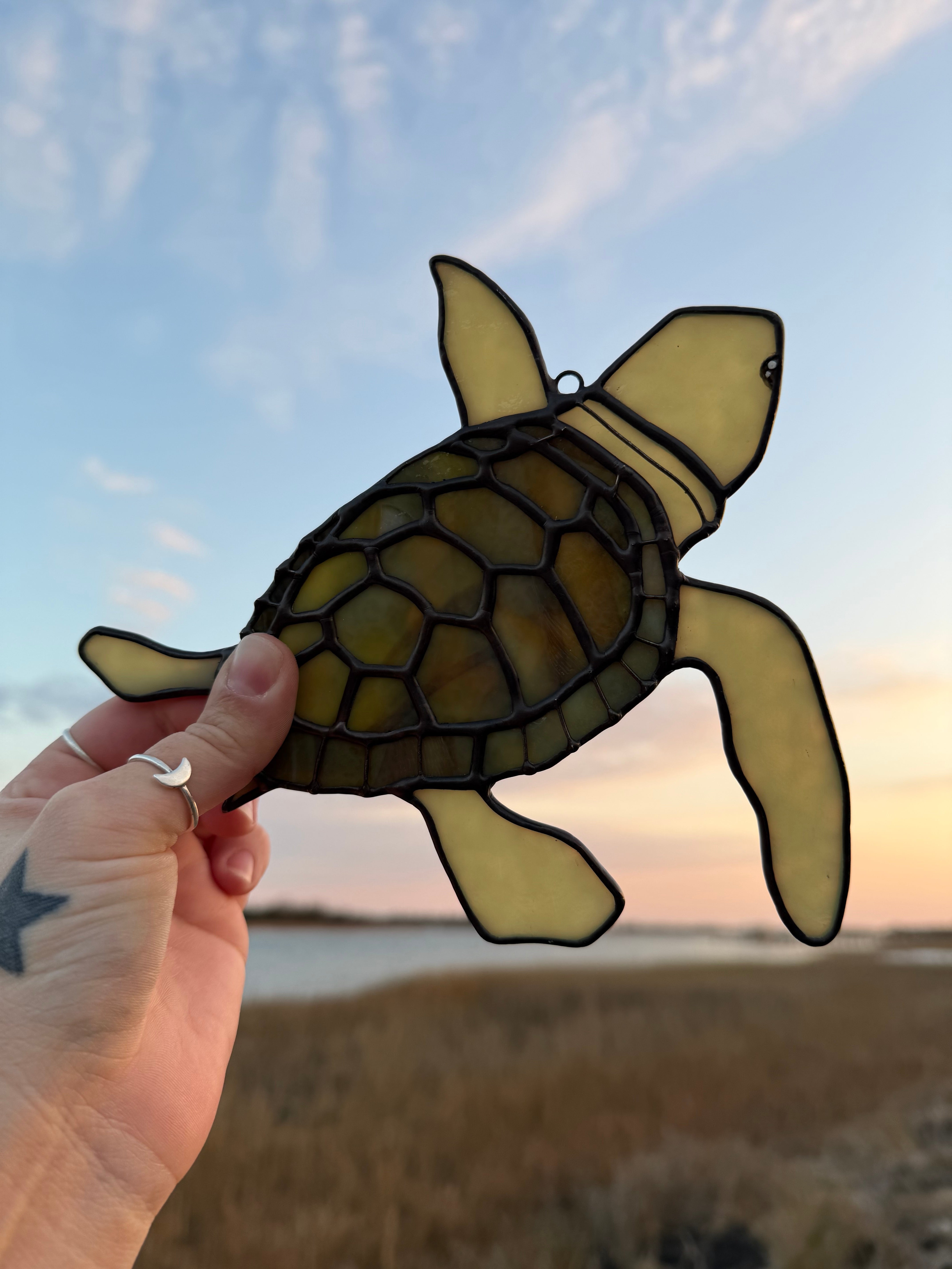 Pale Green Sea Turtle – Stained and Confused